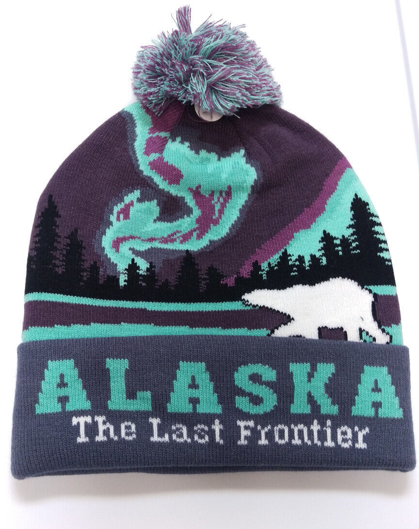 New Alaska Hat Beanie Style Polar Bear, Northern Lights Alaska, winter ...