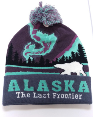 New Alaska Hat Beanie Style Polar Bear, Northern Lights Alaska, winter ...