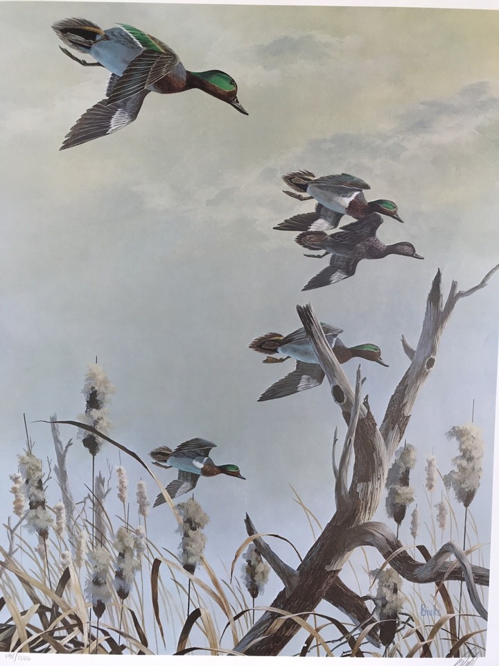 Green-Wing Squadron Poster Art Print Bob Binks Ducks Unlimited #’d ...