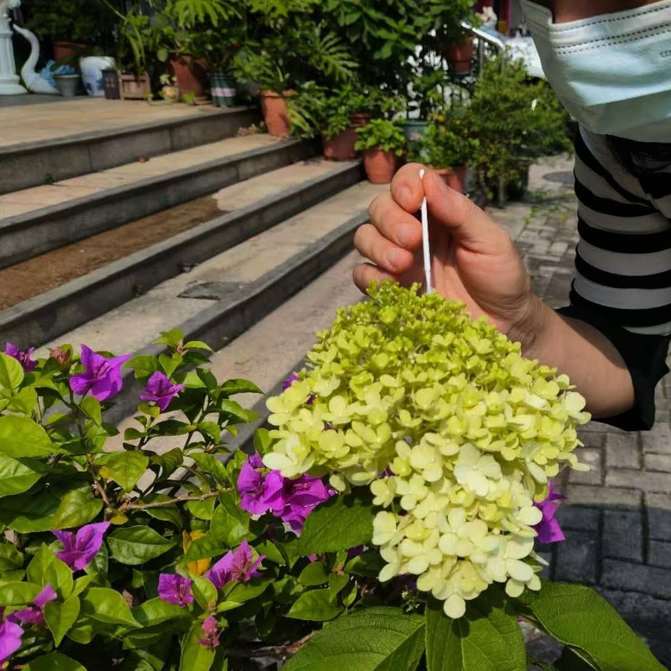 Pollinator Brush for Plants, Hand Pollination Tool for Garden, Fruit ...