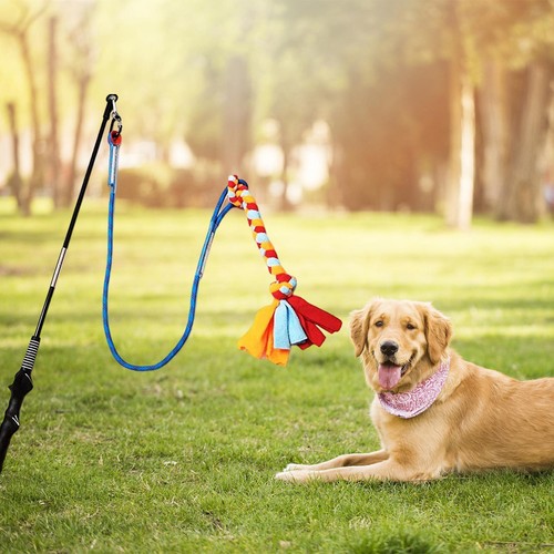 Flirt Pole for Dogs with Chewing Toy Long Dog Teaser Pole for Indoor ...