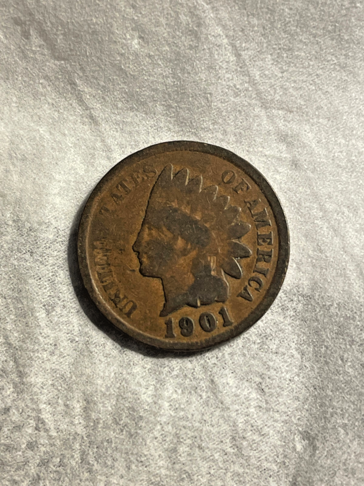 1901 Indian Head Penny One Cent - SNOW - FLEA BITTEN | eBay