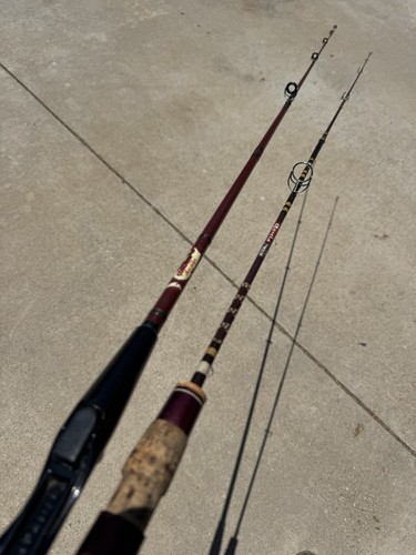 2 Vintage Garcia Conolon fishing Rods Spinning Casting | eBay