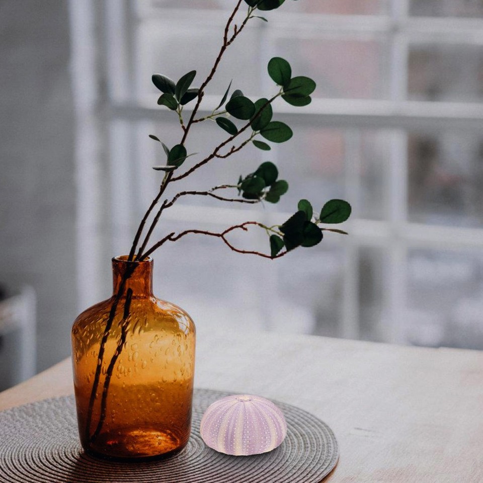 2 PCS Beach Decorations Jellyfish Air Plant Mini Seashells Octopus ...