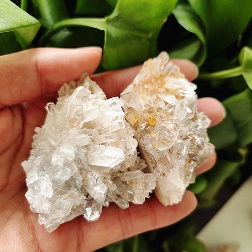 Natural Clear Quartz Crystal Cluster Mineral Rough Druzy Geode ...