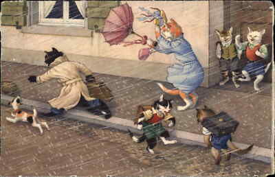 Max Kunzli Dressed Animals Cat Fantasy Hurricane No. 4728 Vintage ...