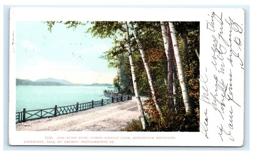 Pine Hurst Road Lower Saranac Lake Adirondacks UDB Postcard G13 | eBay