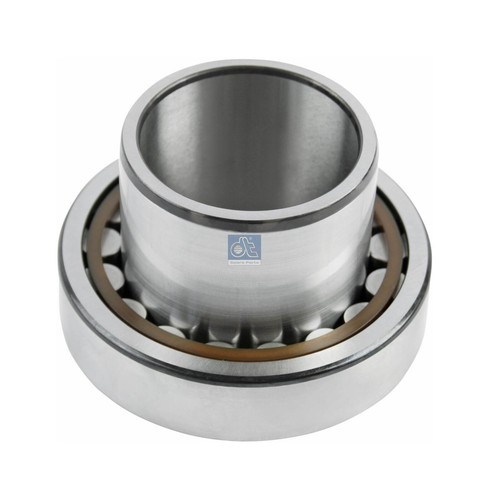 CAPSautomotive Wheel Bearing 4206 2903 42062903 for Iveco 4206 2903 | eBay