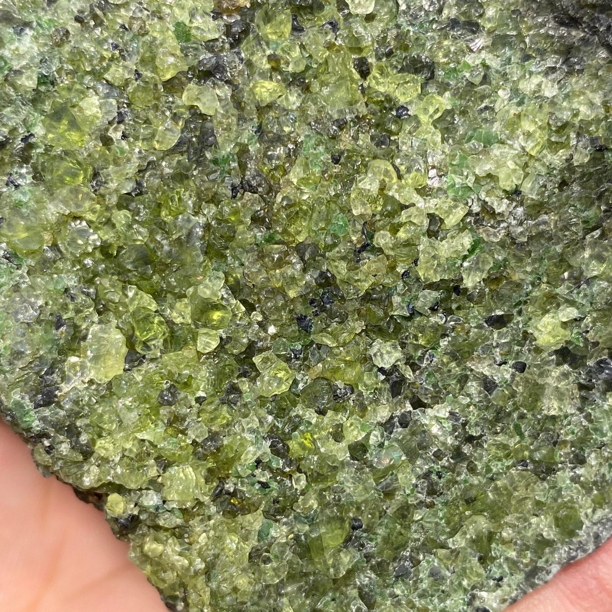 Olivine Crystals What Do Look Like Olivine Wikipedia