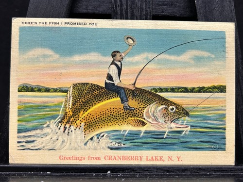 Cranberry Lake, New York Exaggerated Fish Man Riding Fish in Lake ...