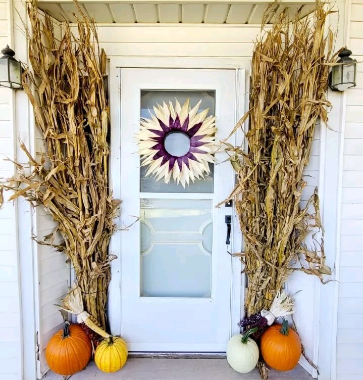 50" Dried Corn Stalk Bundle Fall Decor Thanksgiving Halloween Wedding ...