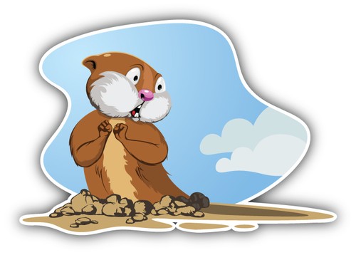 Groundhog Cartoon Car Bumper Sticker Decal 5'' x 3'' | eBay