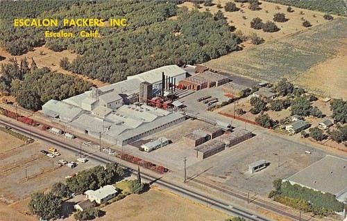 Escalon California Escalon Packers Birds Eye View Vintage Postcard ...