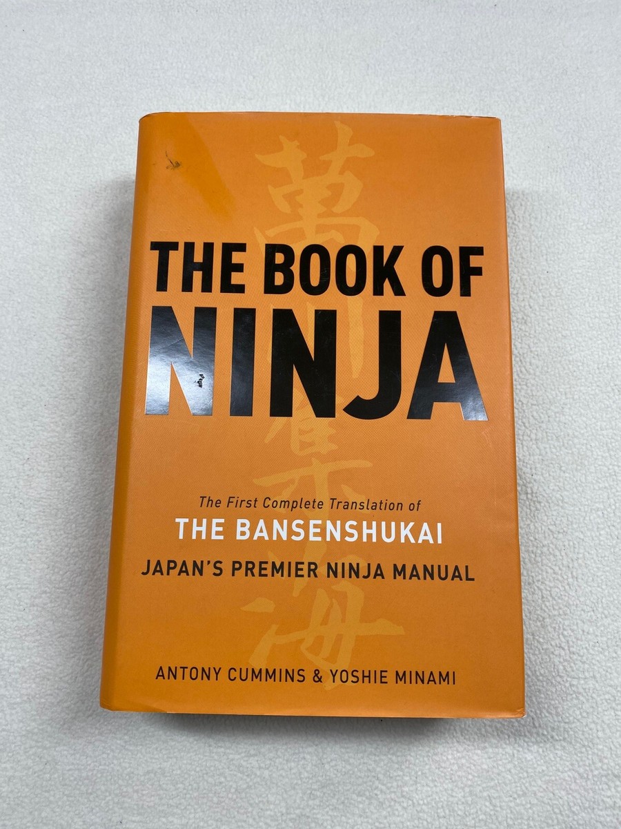 Nighttime Ninja Night Ninja | Disney Wiki | Fandom