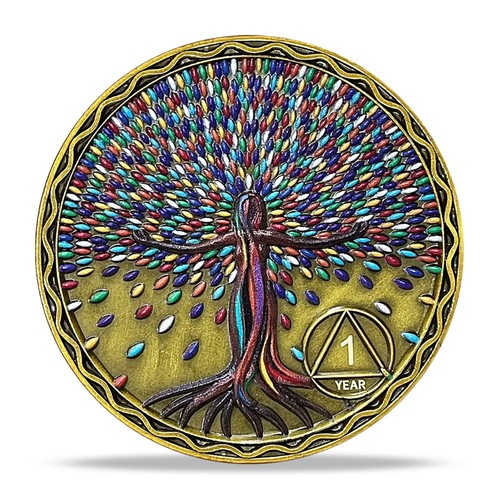 🔥1 Year Sober AA Chip 1 Year Recovery Chip Tree of life Sobriety Coin ...