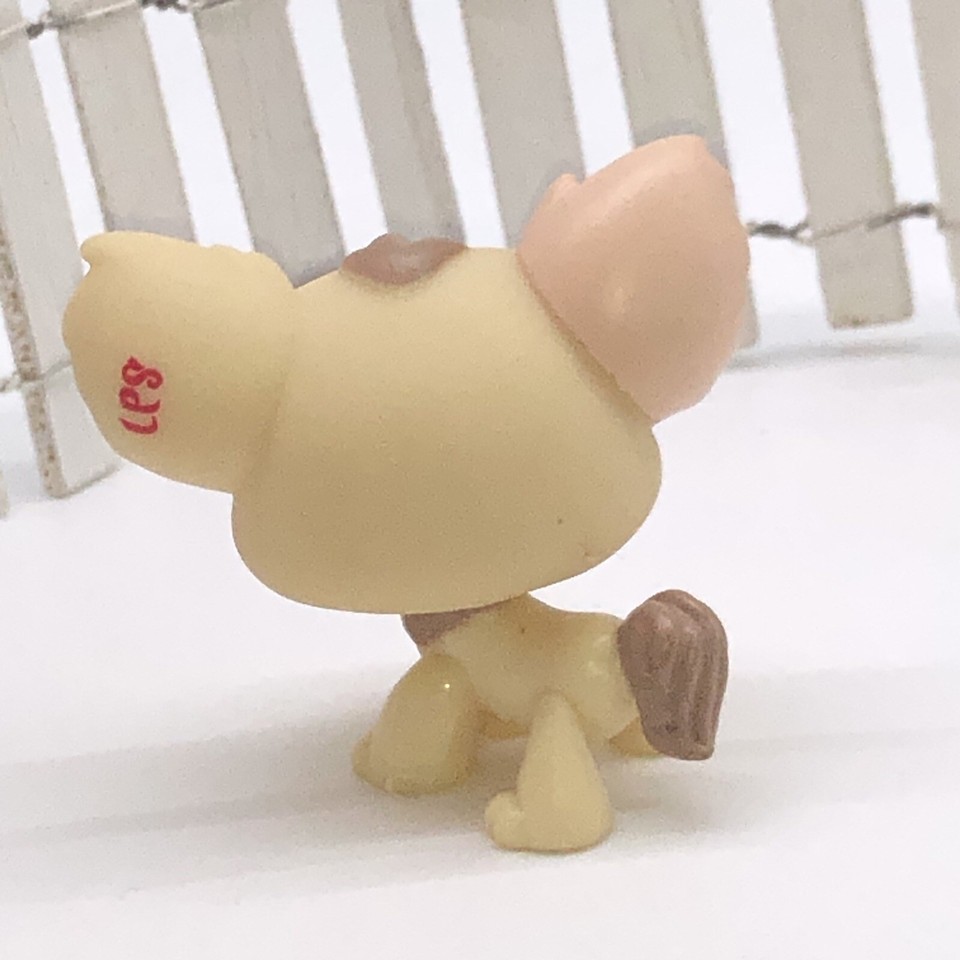 ️ Littlest Pet Shop LPS Chihuahua #1171 RARE | eBay