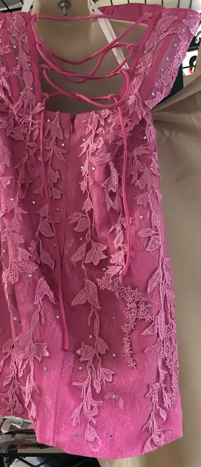 Fuschia Pink Lace Up Corset Mini Dress Lace & Sequins NEW | eBay