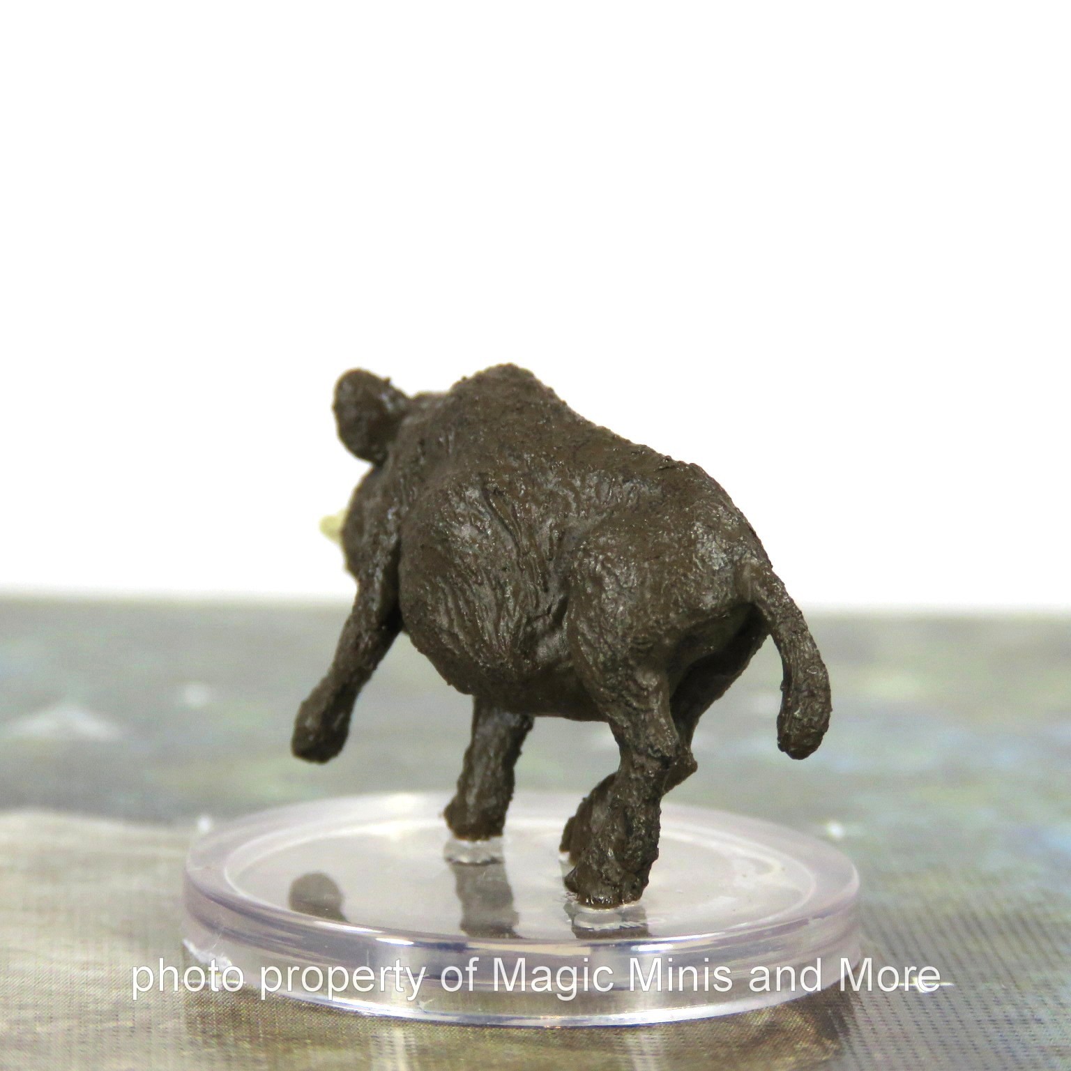 Ghost Light ~ BOAR #6 Icons of the Realms D&D wild pig miniature | eBay