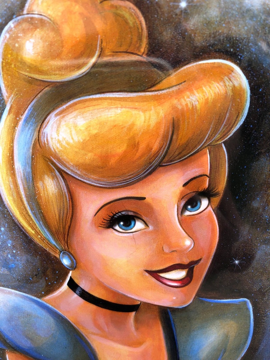 Cinderella Rags To Riches Disney Women's 1X 2X Cinderella Rags To