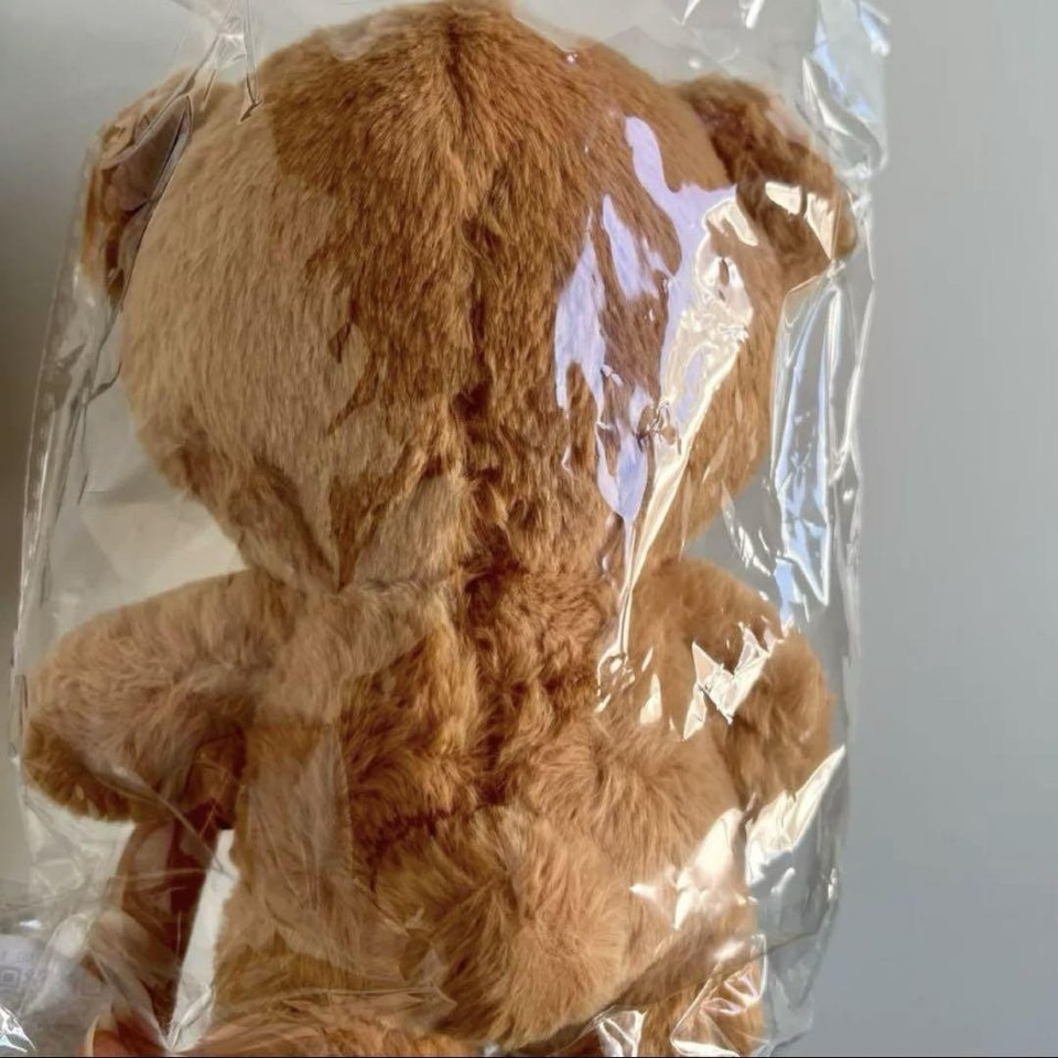 Nct haechan gomdo lee 20cm bear plush doll master ikomdo Kpop character ...