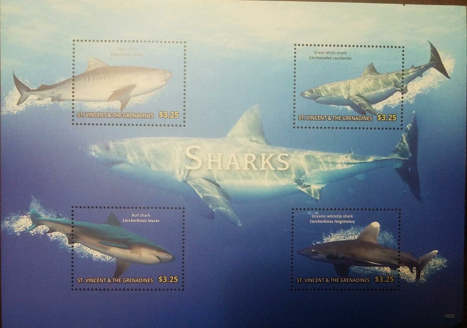 L) 2016 ST. VINCENT AND THE GRENADINES, SHARKS, MARINE, BULL SHARK ...