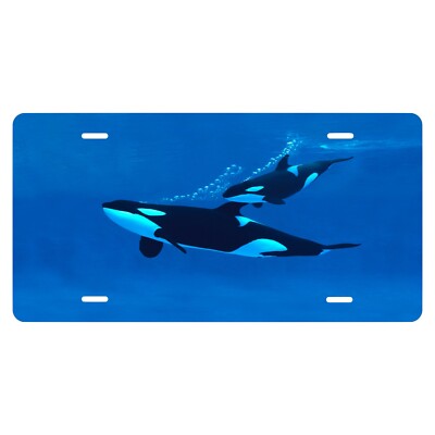 Custom Orcas Underwater Novelty Front License Plate - Fish - Ocean ...