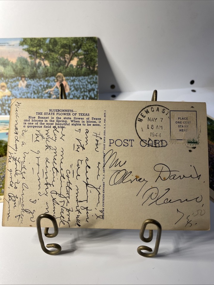 (9) Texas Blue Bonnets State Flower Postcards 1930/40/50s Linen ...