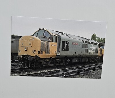Class 37 37901 Fridge Magnet British Rail Diesel Locomotive Railfreight ...