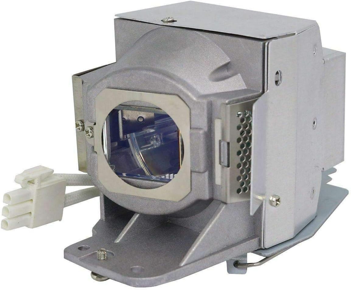 IET Genuine OEM Replacement Lamp for ViewSonic RLC-079 Projector (Osram ...