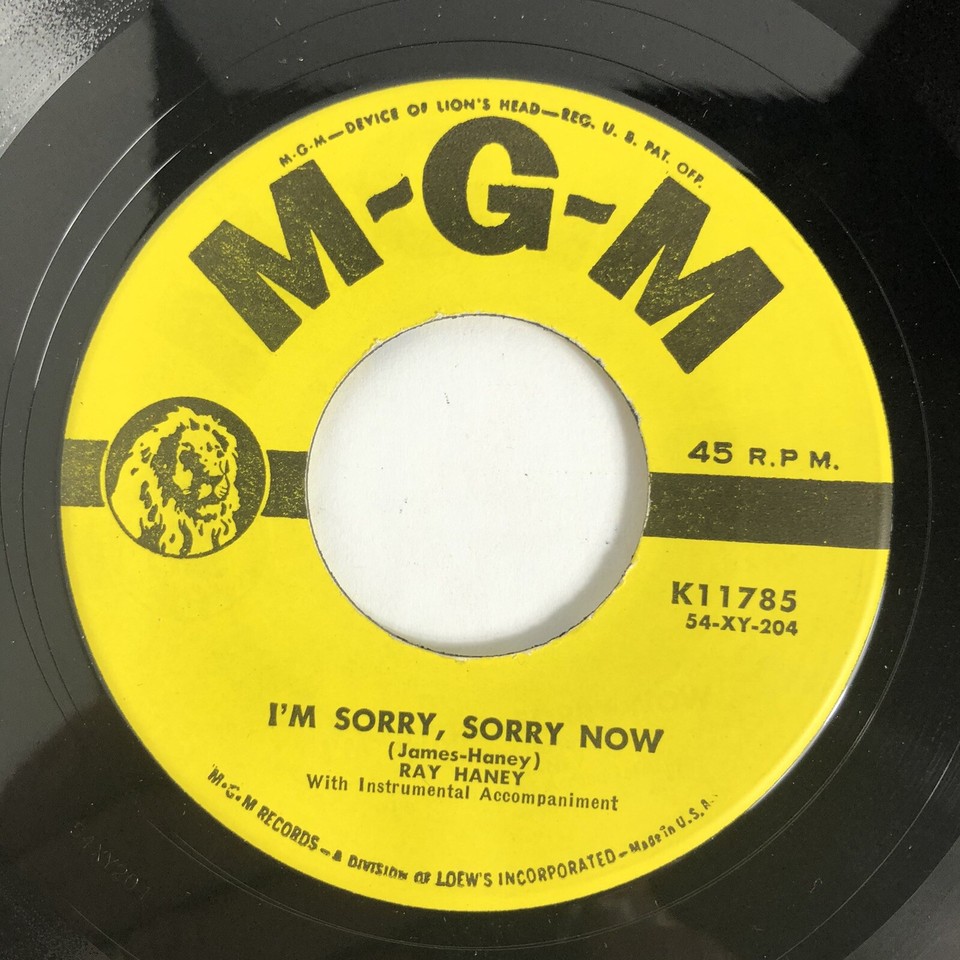 Ray Haney-I'm Sorry, Sorry Now/Rosie's TV Song MGM K11785 45 RPM Record ...