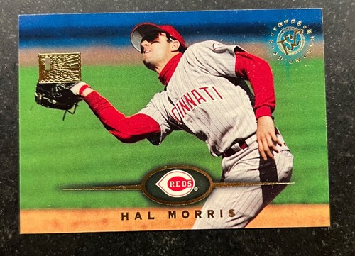 1995 Stadium Club First Day Issue Hal Morris #231 | eBay