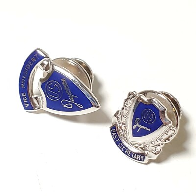 2 Vintage Jaycees Pins Vice President And Secretary Enamel Pins | eBay