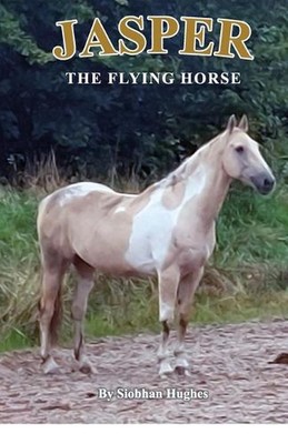 Jasper the Flying Horse by Siobhan Hughes Paperback Book | eBay