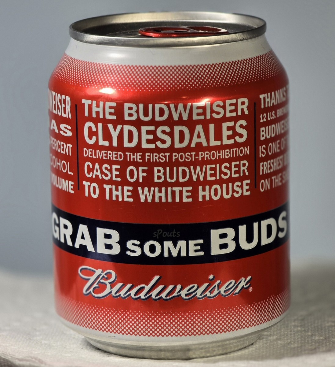 Budweiser Can Case