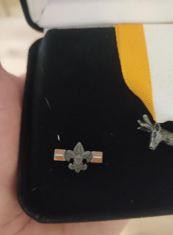 BSA Silver Antelope award + pin / boxed / scout badge / medal | eBay