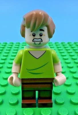 LEGO Minifigure Shaggy Rogers scd001 Scooby Doo | eBay