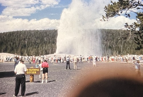 Vintage Photo Slide 1959 Old Faithful Geyser | eBay
