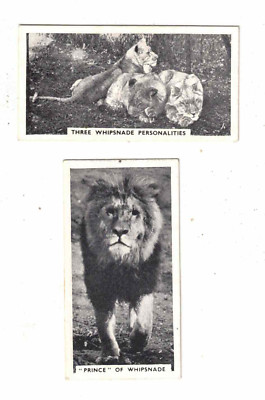 Bandmaster Major Drapkin & Co. Cigarette Cards x 2 - 1934 Life at ...