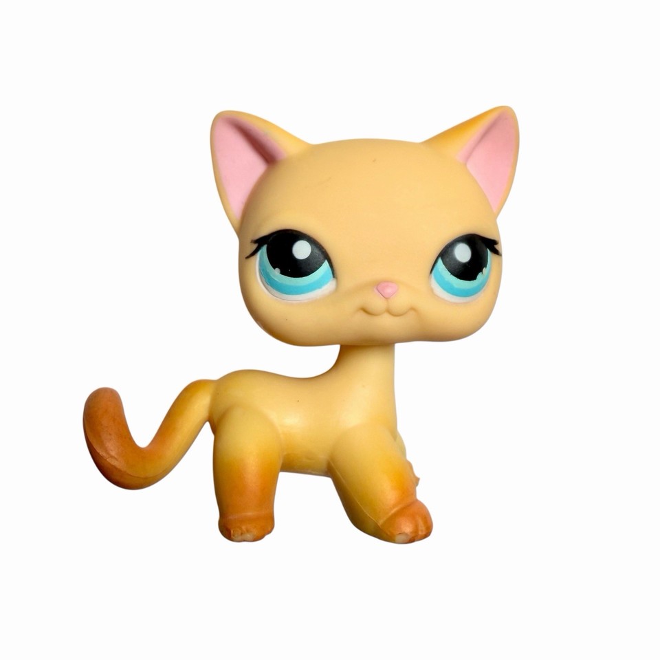 Hasbro LPS Littlest Pet Shop Authentic Shorthair Cat #339 Brooke Hayes ...