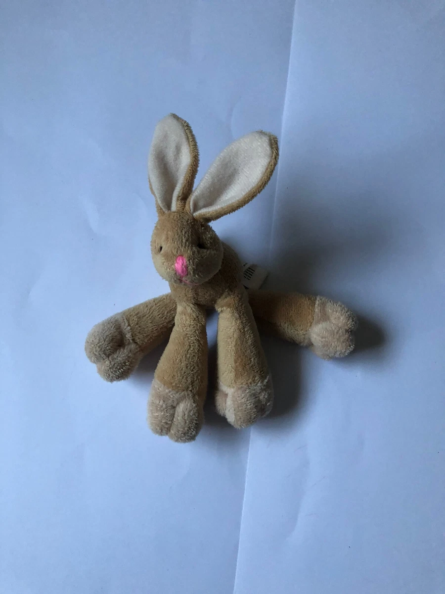 Color Light Brown Rabbits