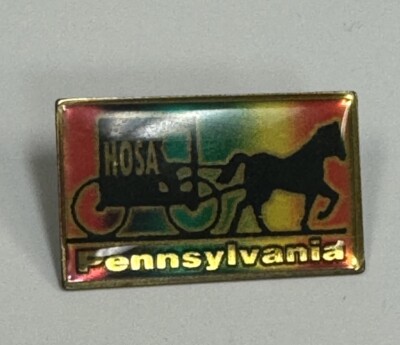 Pennsylvania HOSA Pin | eBay