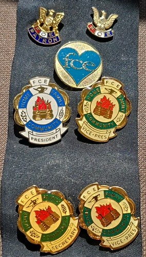 FCE 🇺🇸 Lapel Pin LOT of 7: Patron, Sec, Vice Pres, President ️ Jacket ...