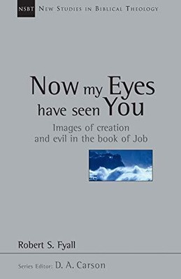 Now My Eyes Have Seen You: Images of ..., Fyall, Robert 9780830826124| eBay