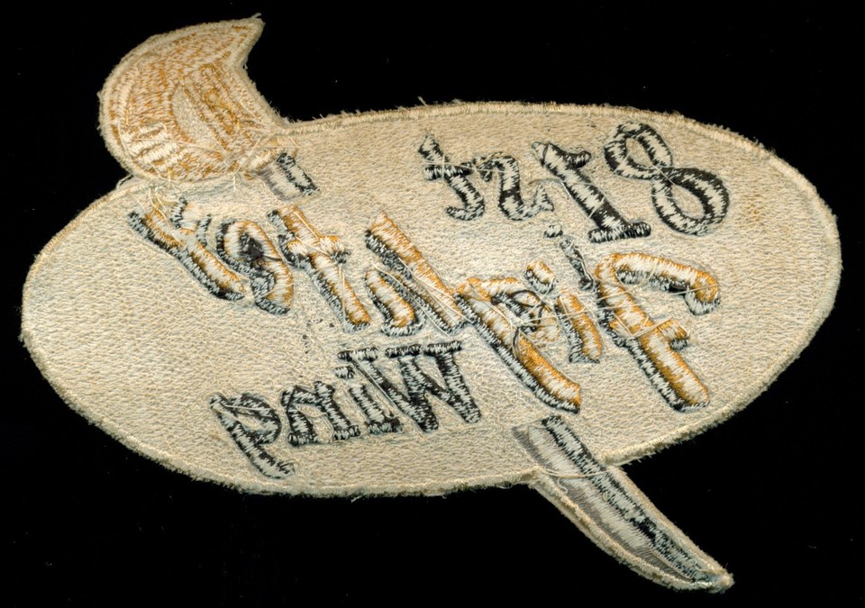 USAF 81st Fighter Wing Patch S-10 | eBay