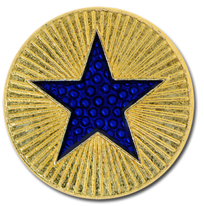Blue Star Award On Gold Round Pin Badge For Schools | eBay