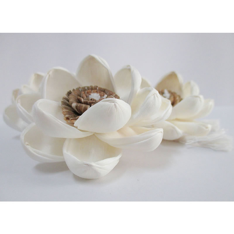 Classic Big Brown Magnolia Dried Flower Diffuser Oil Spa Fragrance ...
