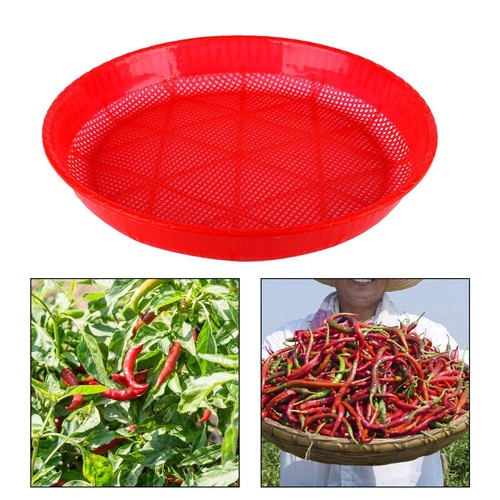 Strainer Colander, Berry Picker Container Berry Cleanup Tray Sieve ...