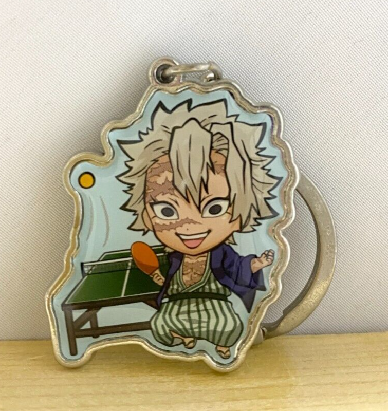 Demon Slayer Kanroji Kimetsu no Yaiba Shinazugawa Sanemi Silver ...