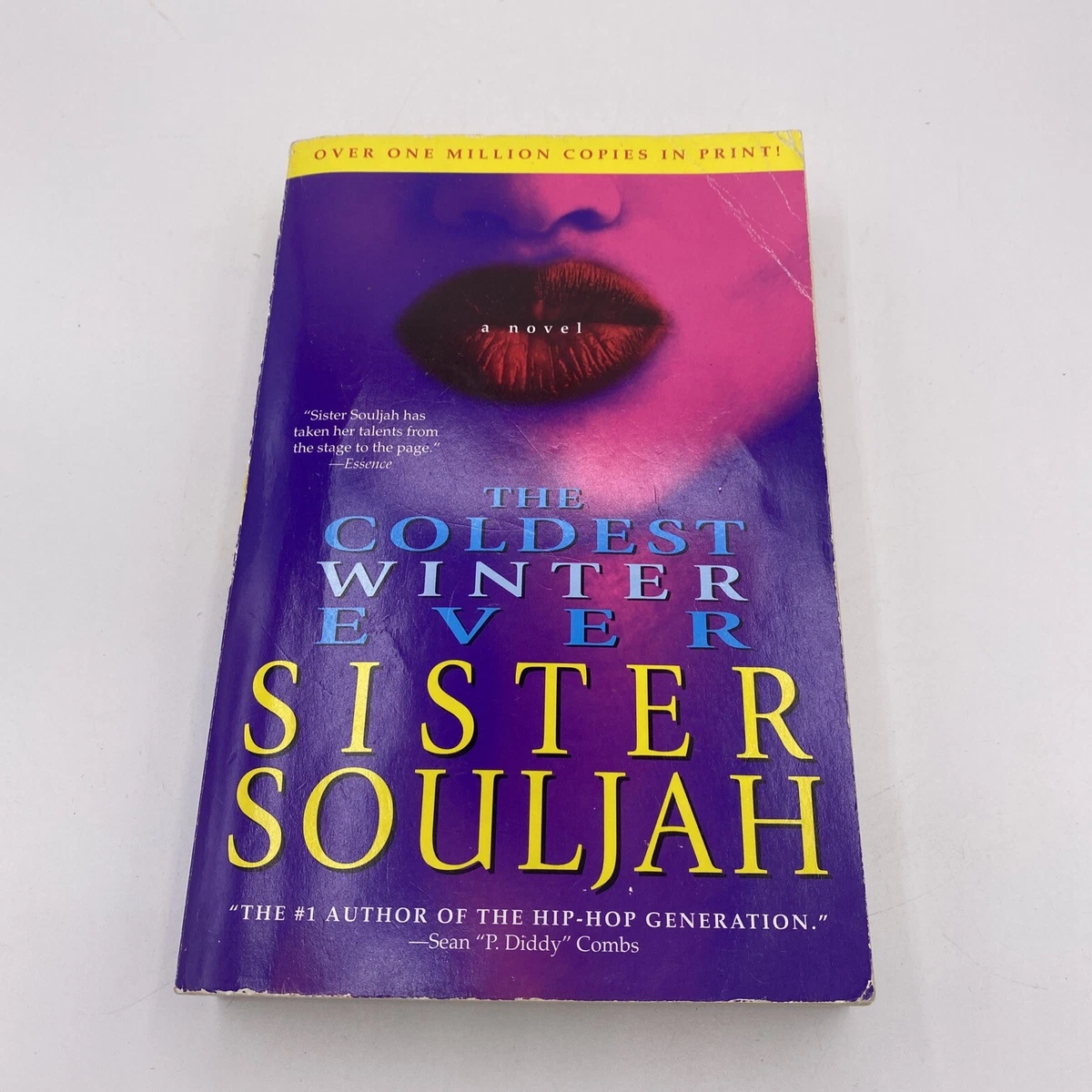 Coldest Winter Ever Read Online