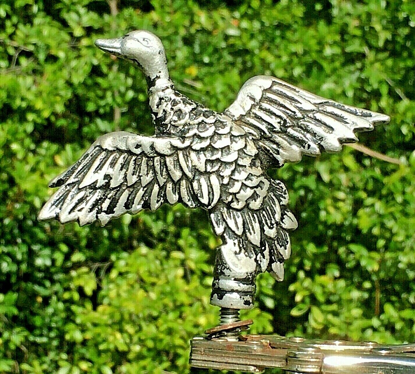 Flying DUCK Fender Mascot Vtg Ornament Knucklehead Panhead Flathead Old ...